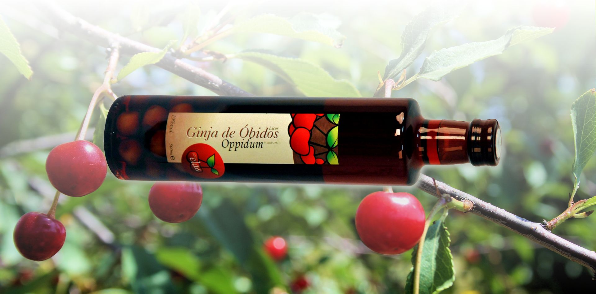 Licor Tradicional do Português - Ginja de Óbidos Oppidum